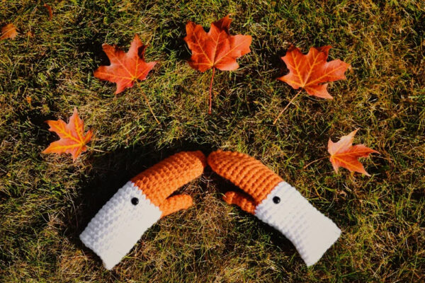 Goose Mittens Crochet Pattern by Carrie Streb Designs - crochet envy